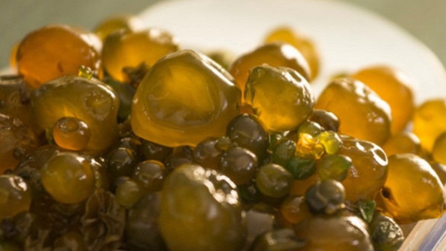 Conoce los beneficios nutritivos del cushuro, el superalimento andino ...