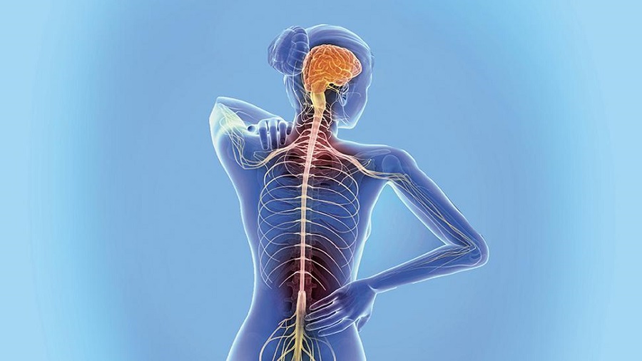 ¿Qué tratamiento debe seguir una persona con esclerosis múltiple? | TVPerú