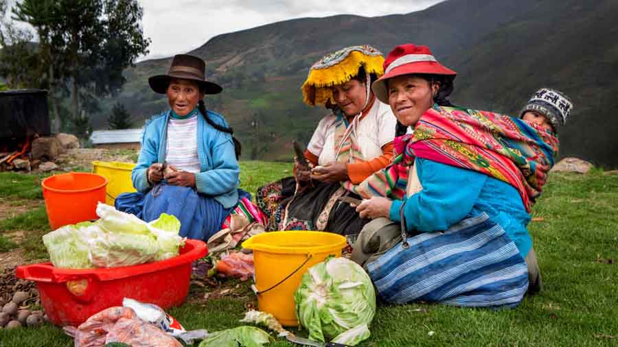 ¿Por qué es importante el Día Internacional de las Mujeres Rurales ...