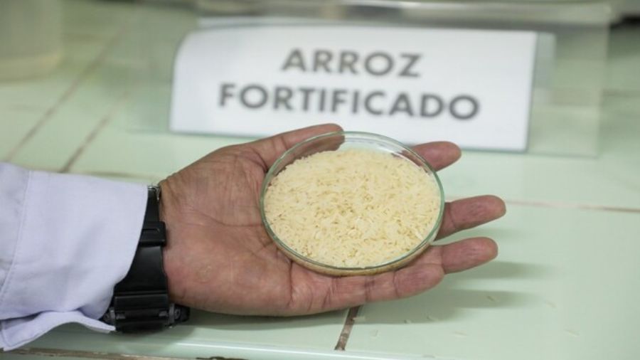 Minsa promueve el consumo del arroz fortificado para prevenir la anemia