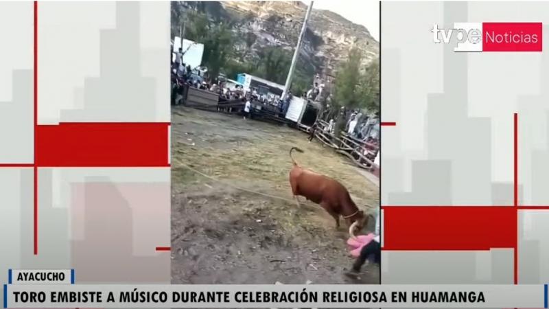 Ayacucho: hombre fue embestido por un toro Ayacucho: hombre fue embestido por un toro